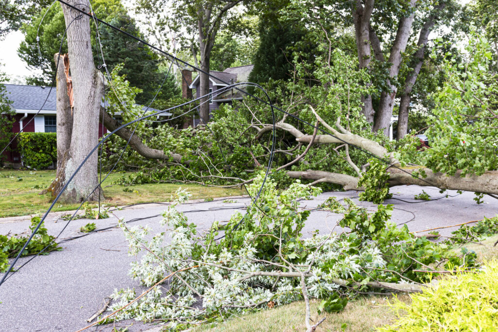 Municipal Excess Liability – Saving Taxpayers. Protecting New Jersey's ...